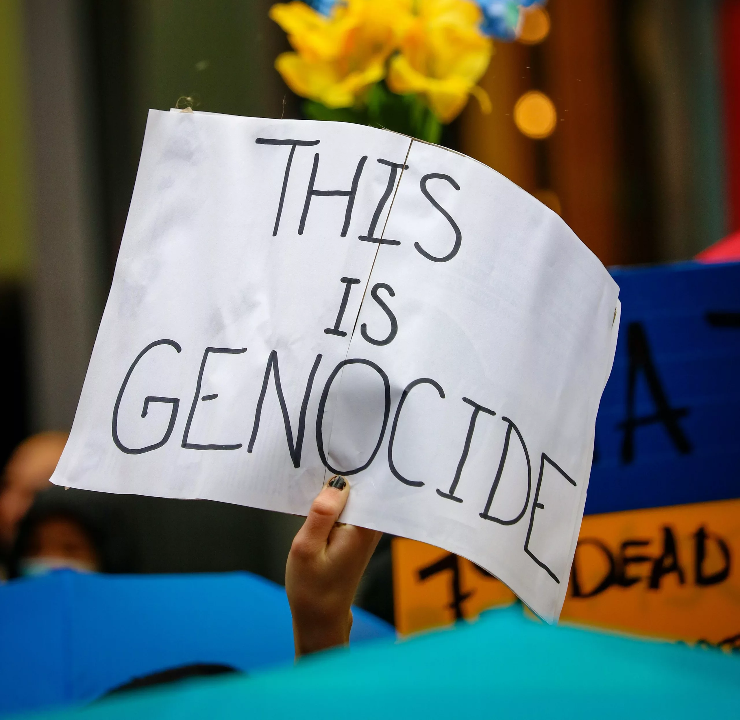 El genocidio y la intencionalidad - CIFD Virtual
